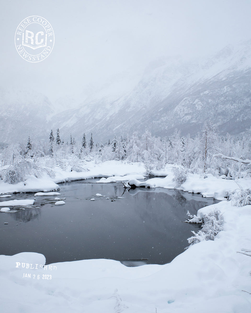 Albert Loop in the Winter – REESE COOPER®